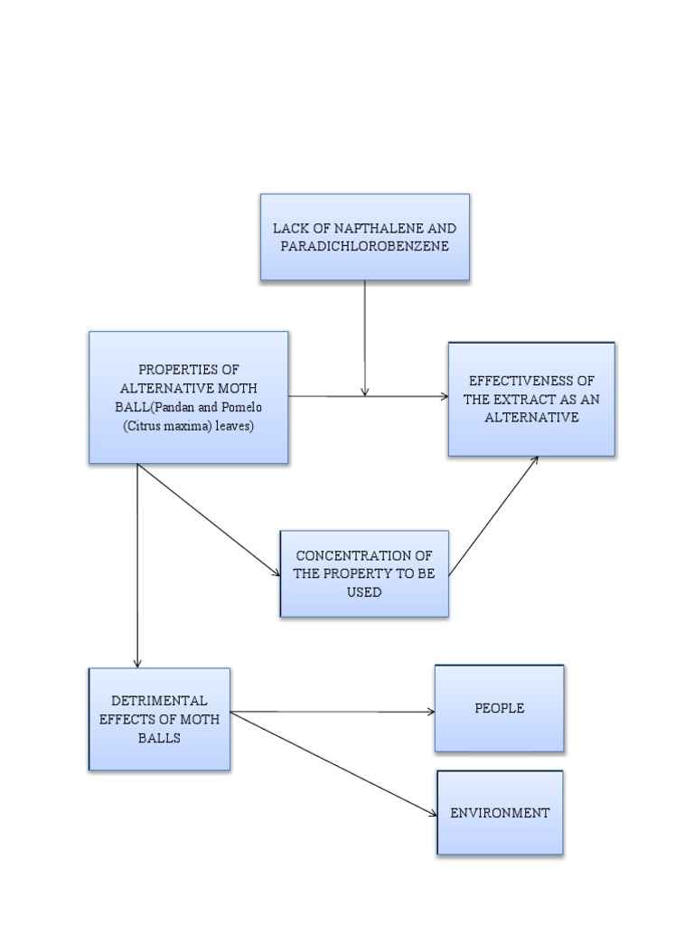 Conceptual Framework | PDF