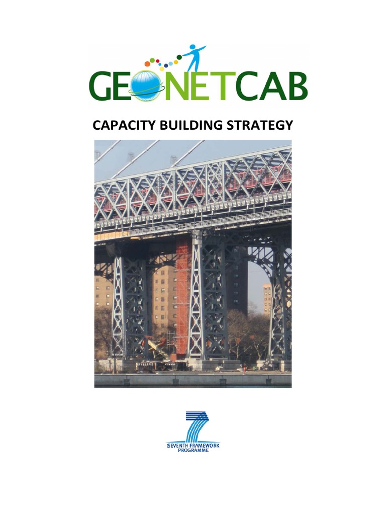 Capacity Building Strategy | PDF | Capacity Building | Empowerment