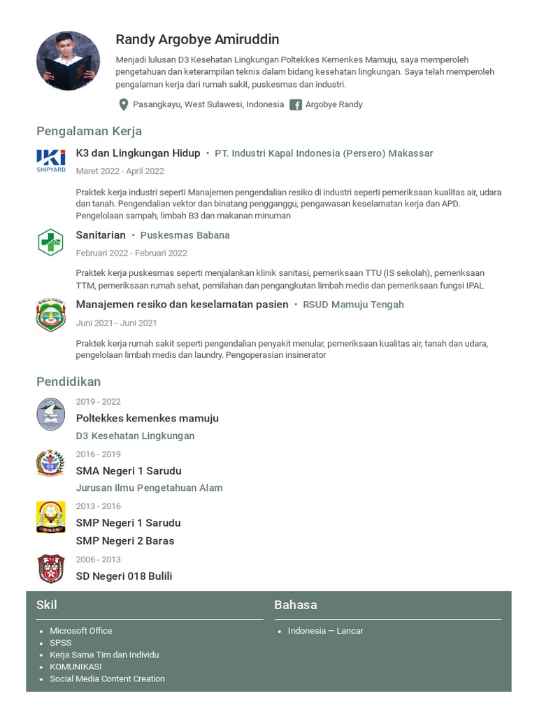 CV Randy Argobye Amiruddin | PDF