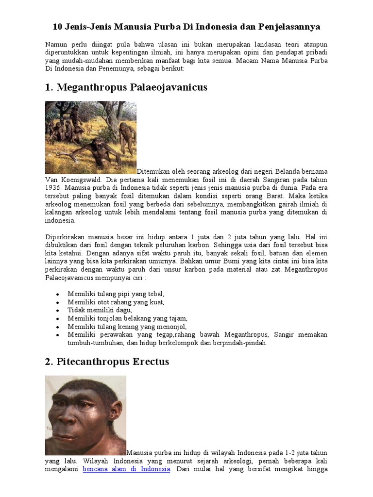 10 Jenis-Jenis Manusia Purba Di Indonesia Dan Penjelasannya | PDF