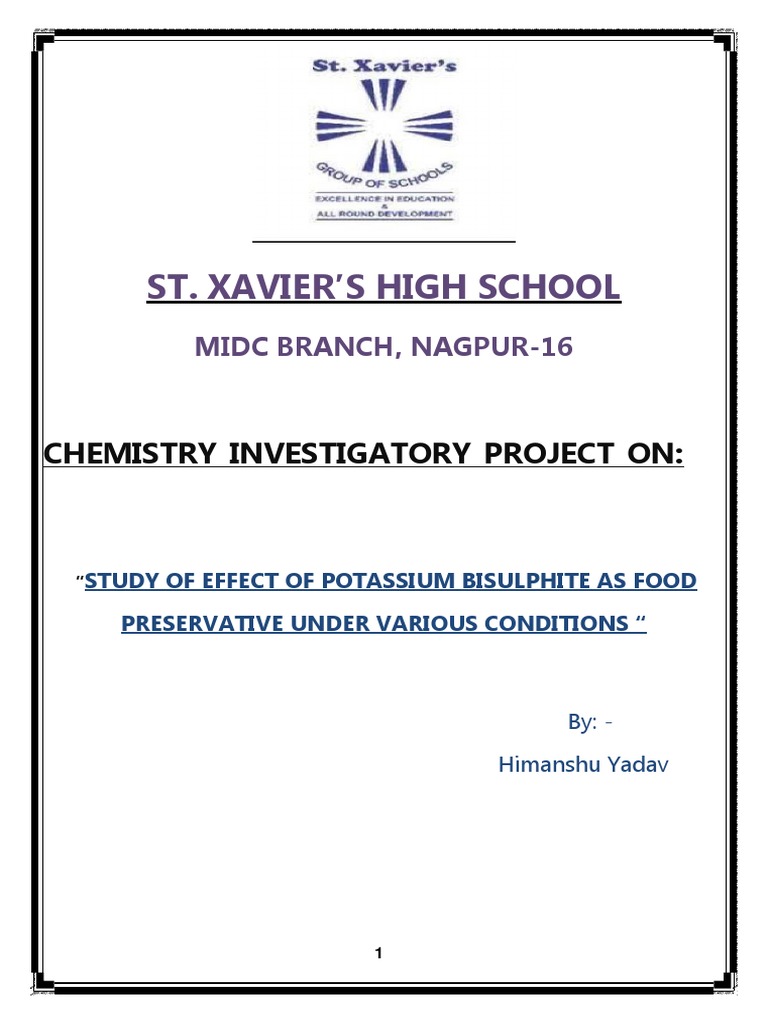 Final Chem Project | Download Free PDF | Food Preservation | Chemical Substances