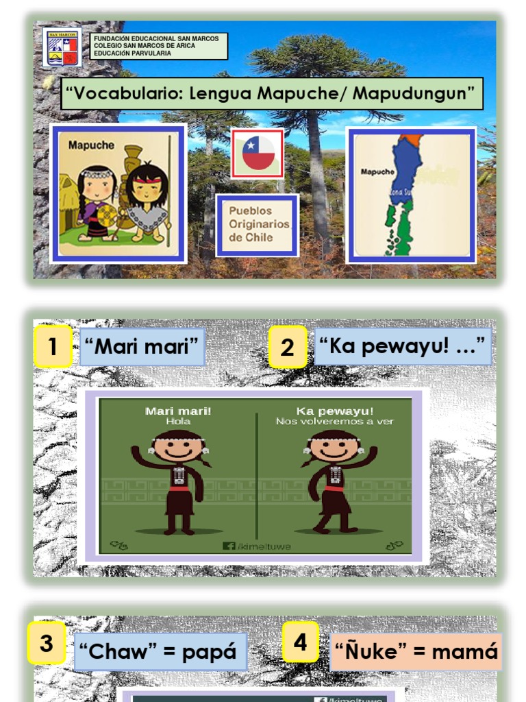 Vocabulario Mapudungun para Niños | PDF | Ciencias sociales | Estudios de idiomas extranjeros