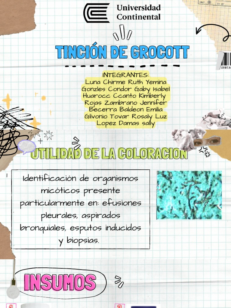 Tinción de Grocott | PDF | Química | Sustancias químicas
