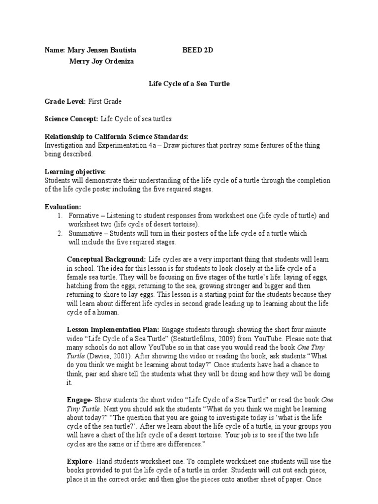 Life Cycle of A Sea Turtle Lesson Plan | PDF | Turtle | Sea Turtle