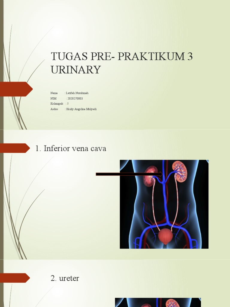 Tugas Pre - Prak 3 2020270003 Latifah Nurohmah | PDF