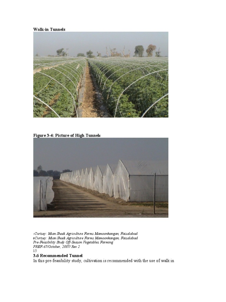 Walk-In Tunnel Farming for Vegetables | PDF | Sowing | Agriculture