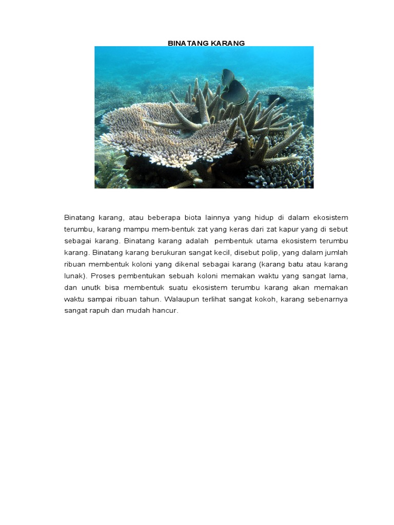 Biota Laut | PDF