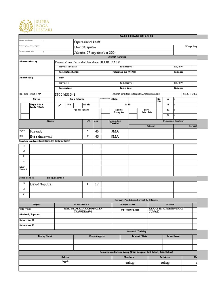 Data Pelamar Kerja David Saputra Pdf