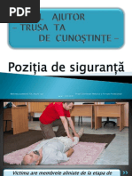 Pioneering Project (2020) 21 Pioneering Projects | PDF