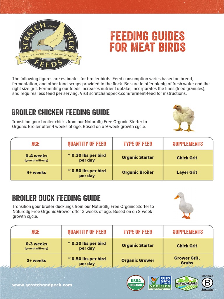 Scratch and Peck Feeds Broiler Guide 2018 | PDF