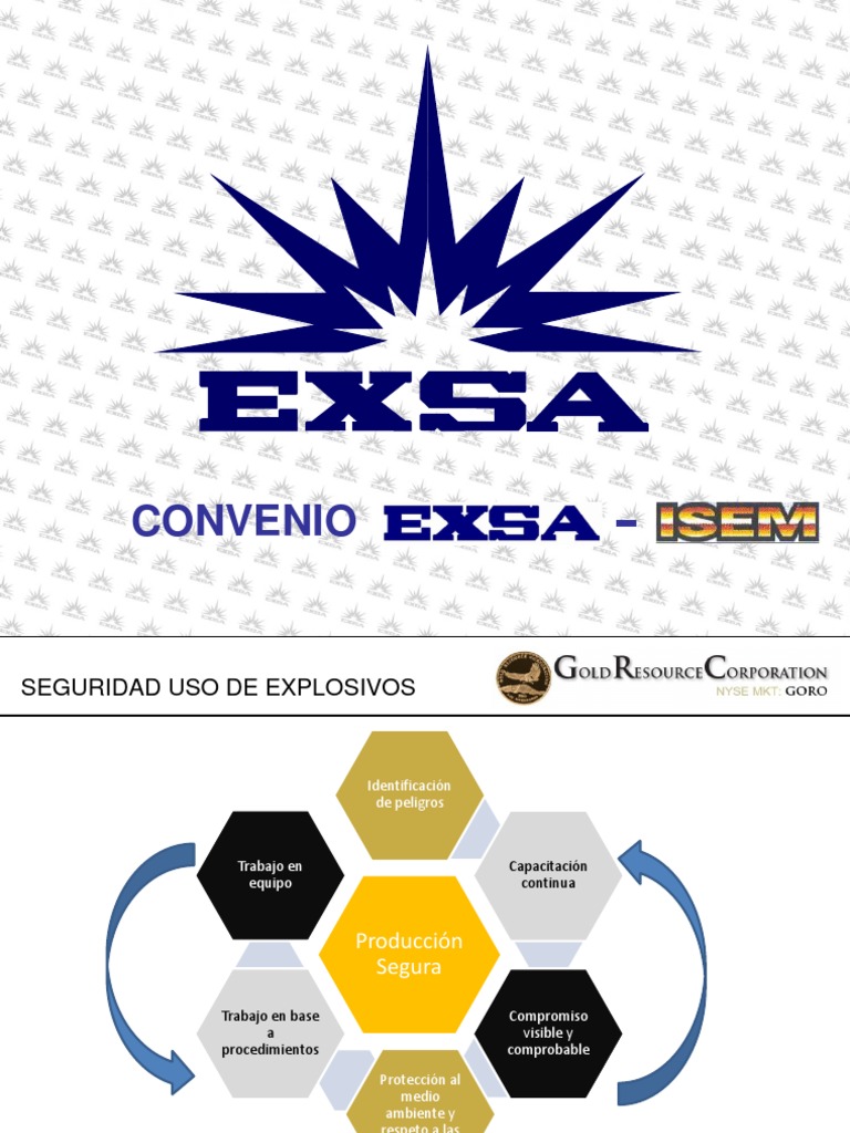 (Exsa) +seguridad Explosivos | PDF | Relámpago | Química