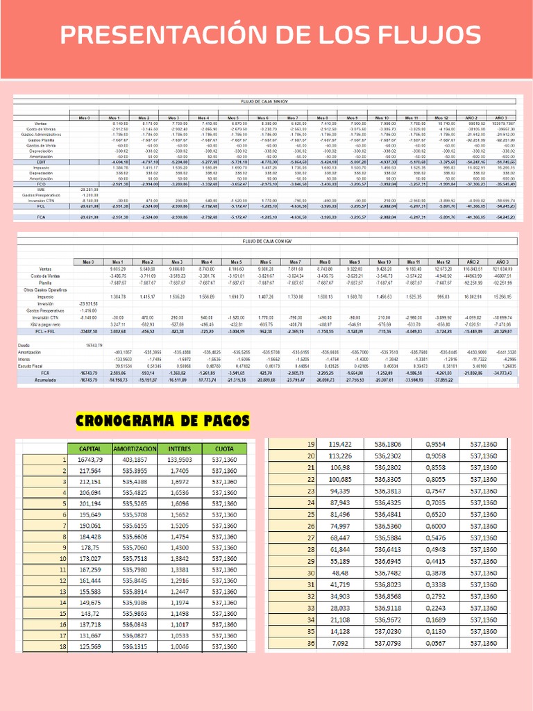 Flujo de Caja | PDF