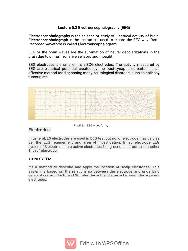 Lecture 3.1 - EEG | PDF | Electroencephalography | Neurology