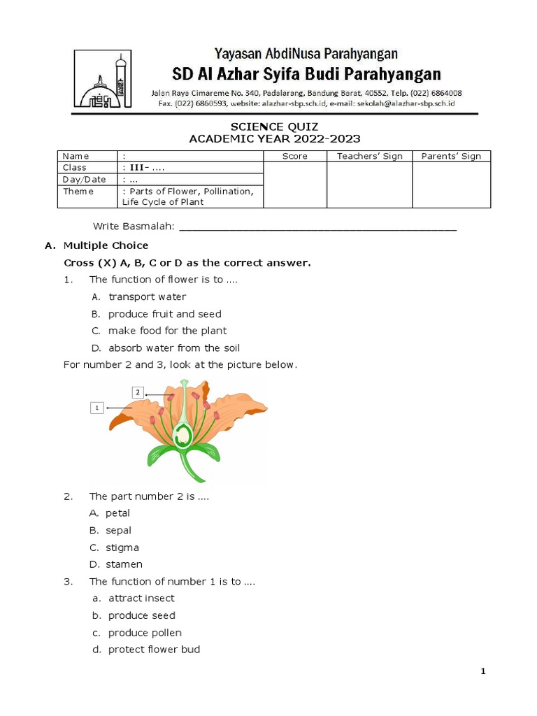Soal Quiz Parts of Plant 2 | PDF | Flowers | Pollination