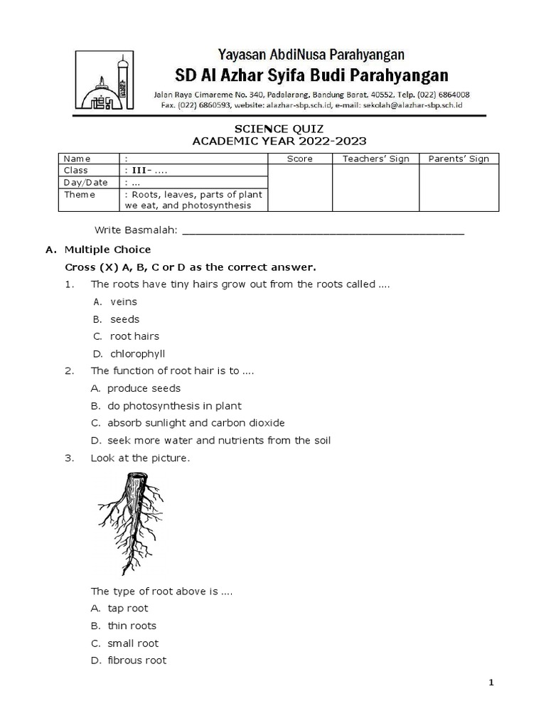 Grade 3 Plant Parts Quiz Worksheet | PDF | Leaf | Photosynthesis