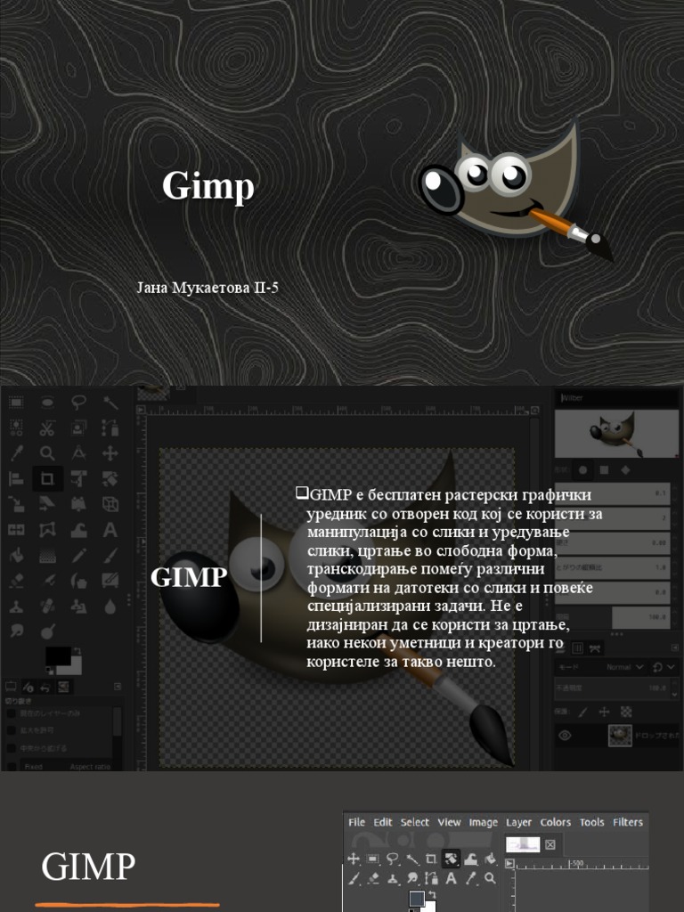 GIMP | PDF