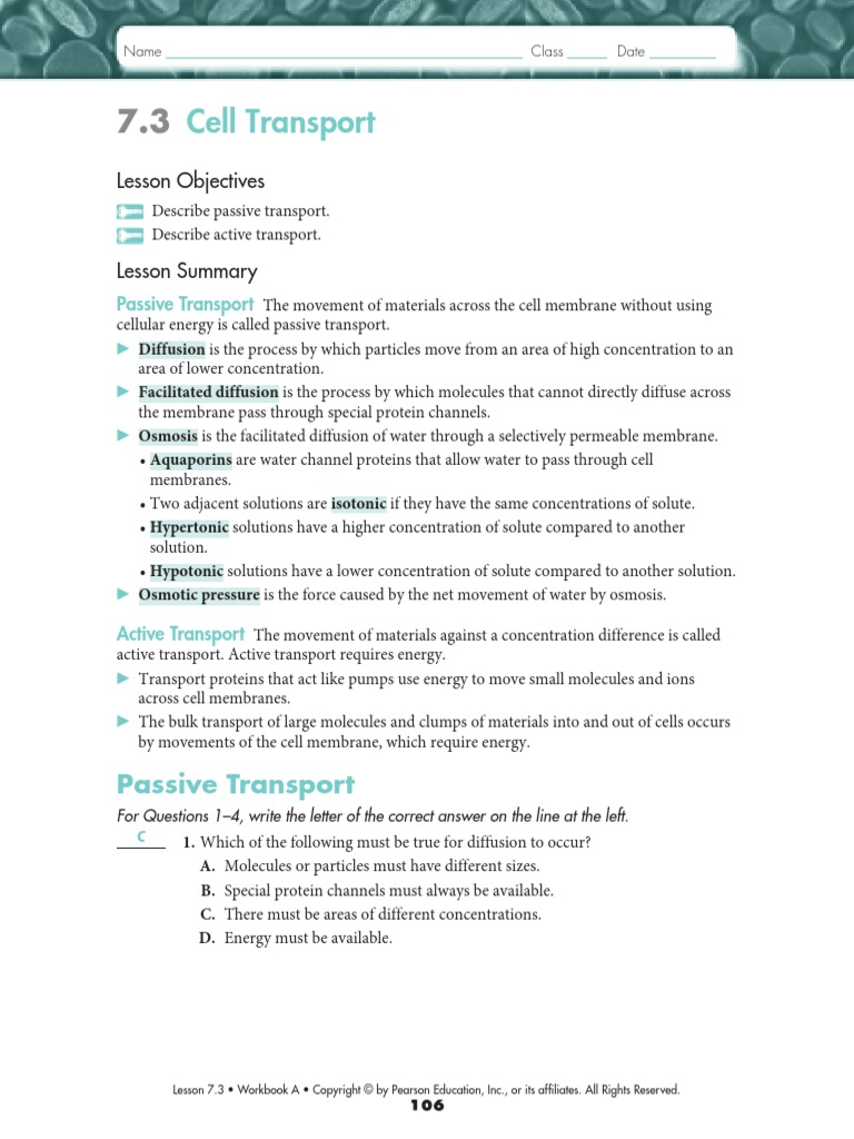 7.3 Cell Transport | Download Free PDF | Osmosis | Physical Sciences