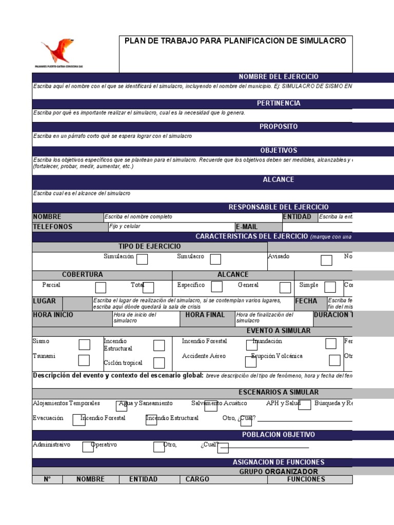 Formato Guia Simulacros | PDF | Planificación | Simulación