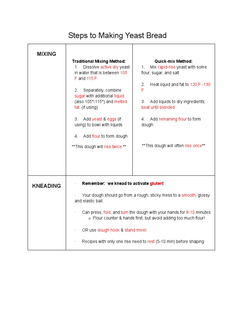 4.02 Steps To Making Yeast Bread Guided Notes | PDF | Dough | Breads