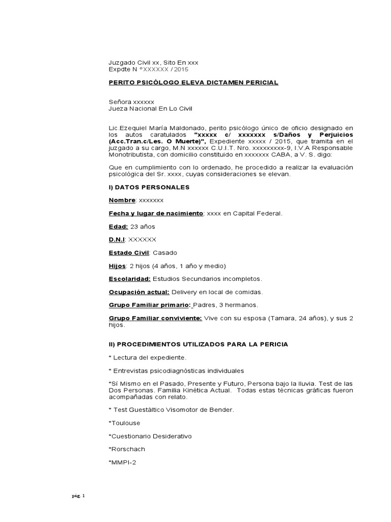 6-Modelo de Informe Pericial | PDF | Testigo experto | Sicología