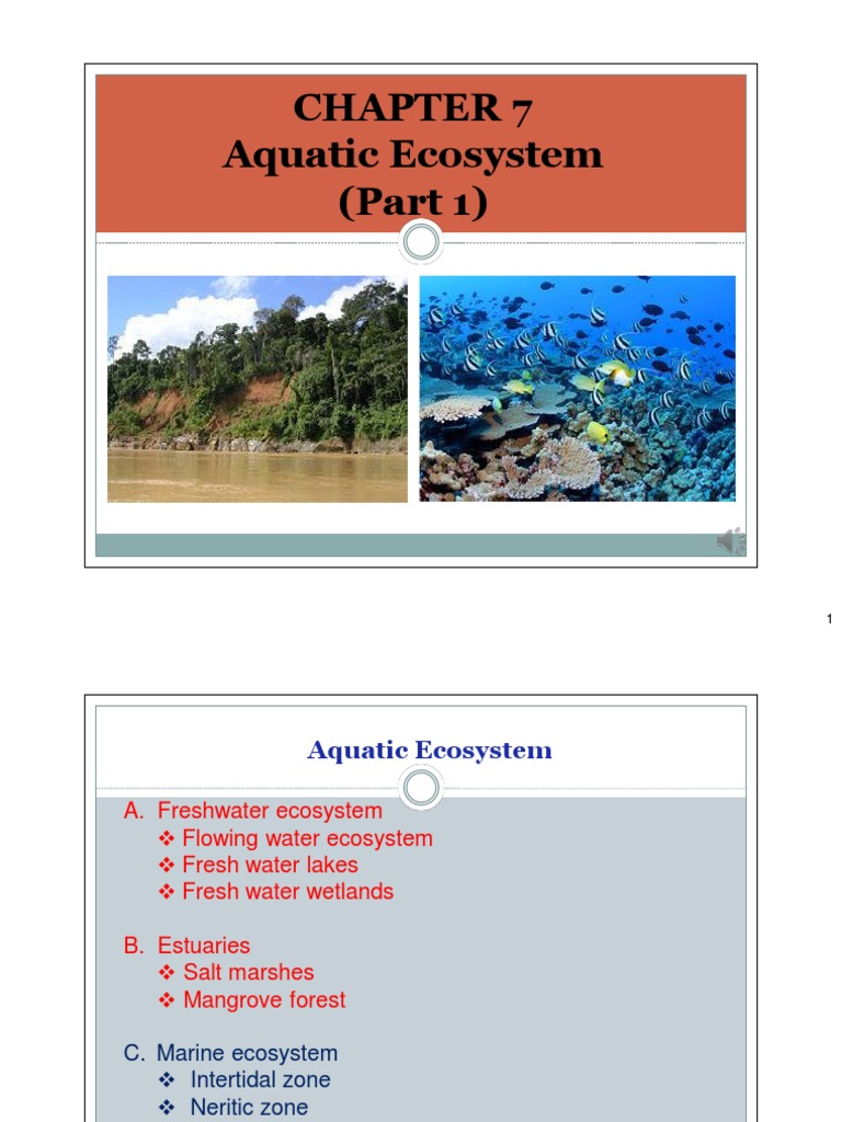 Chapter 7 (Part 1) - Aquatic Ecosystem | PDF | Fresh Water | Aquatic Ecosystem