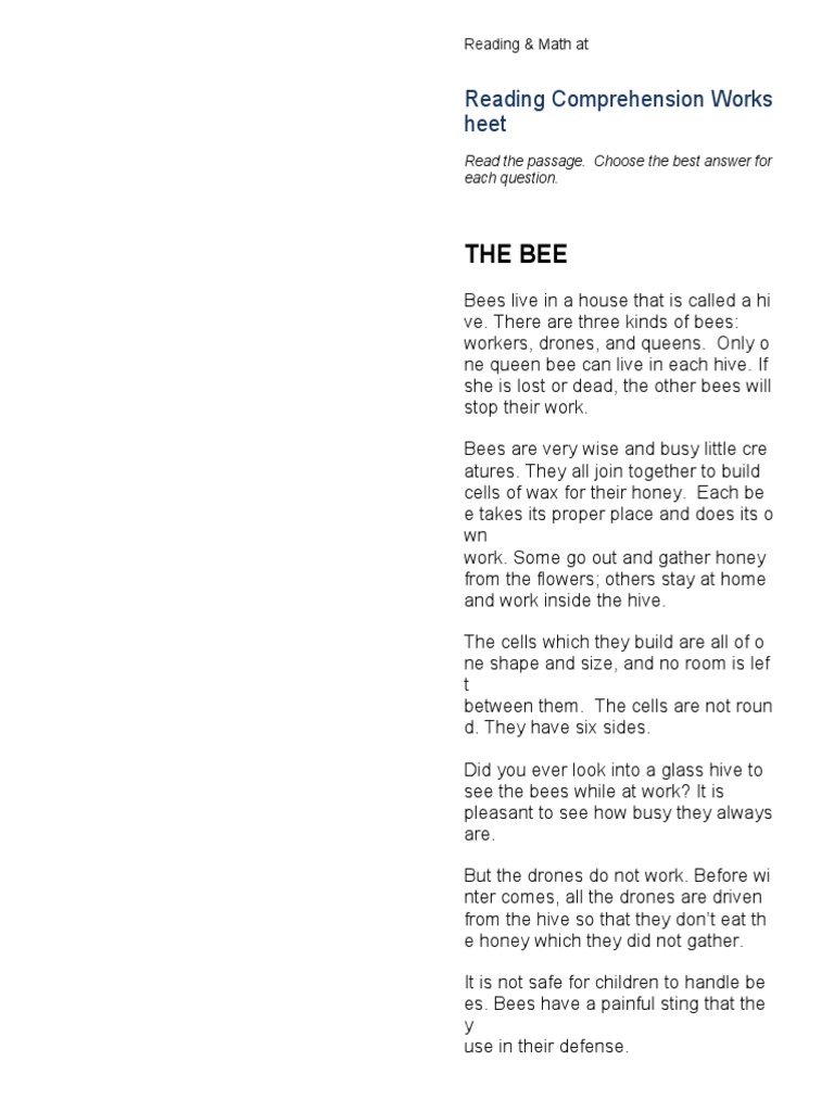 Bee Reading Comprehension Worksheet | PDF