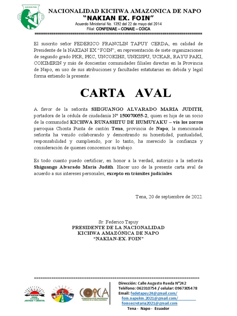 Carta Aval | PDF