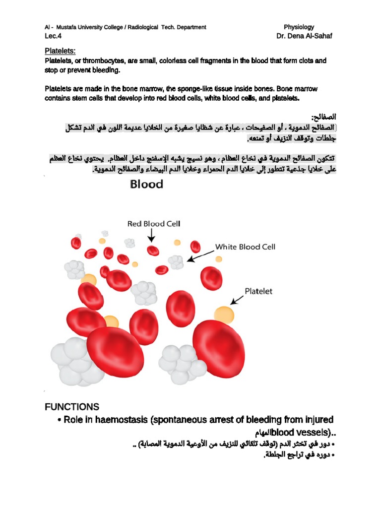 Platelets: Formation, Functions and Role in Hemostasis | PDF | Blood Type | Coagulation