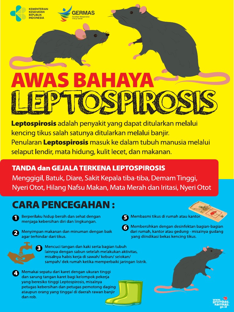 Poster Leptospirosis | PDF