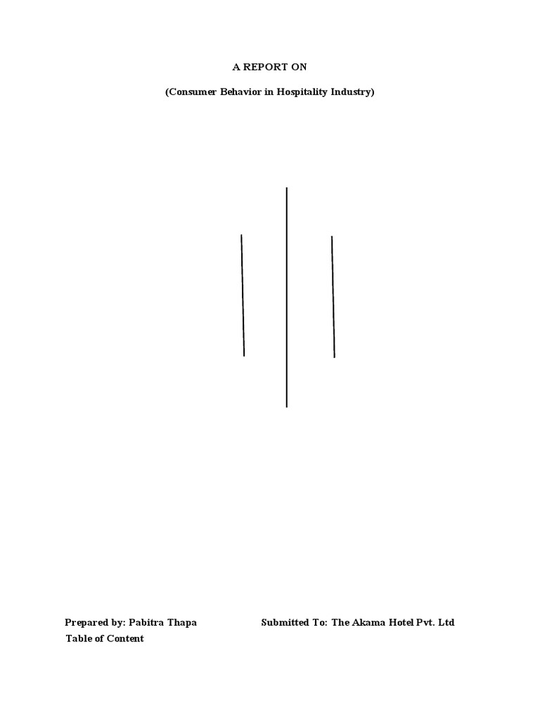 Consumer Behavuour Sample Report | PDF | Marketing | Decision Making