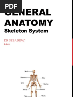 Skeletal System 206 Bones Comprehensive List | PDF | Skull | Musculoskeletal System