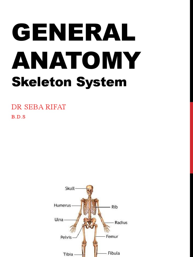 General Anatomy LEC 1 | PDF | Science & Mathematics