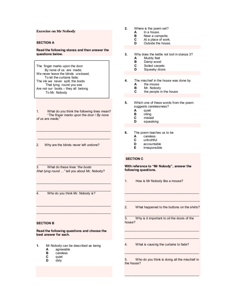Mr. Nobody Poem Q&A Guide | PDF