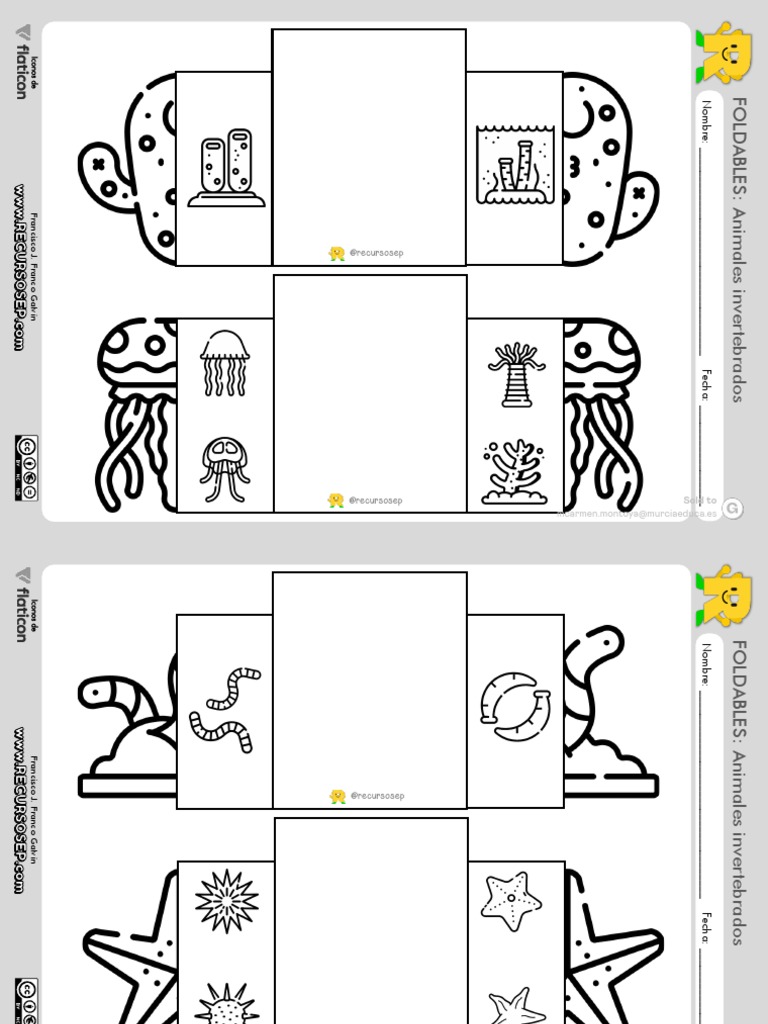 Animales Invertebrados Material Plegable Recursosep Byn Mudo | PDF