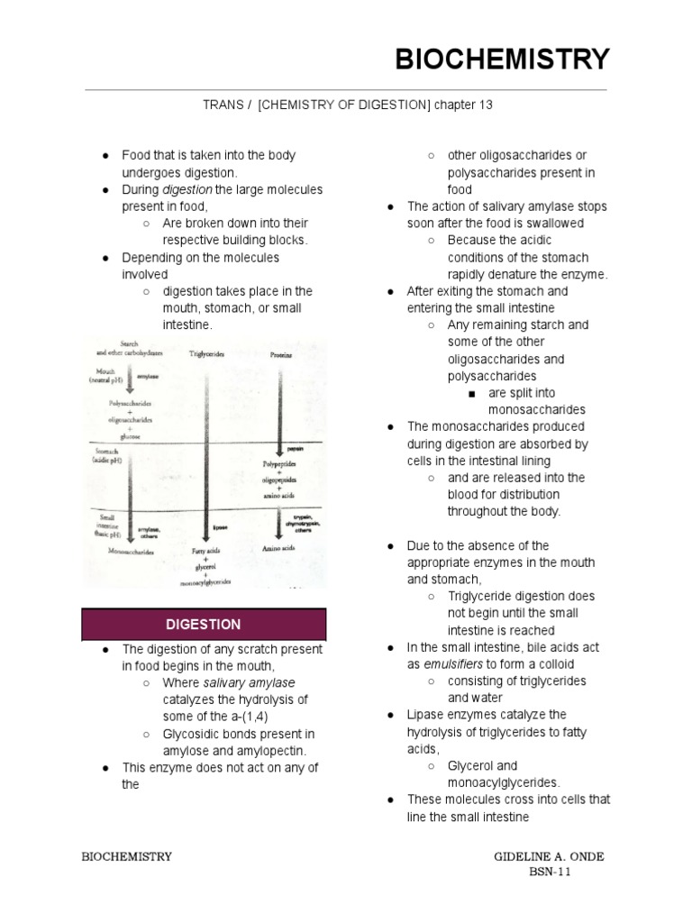 Chemistry of Digestion Transes | PDF | Digestion | Pancreas