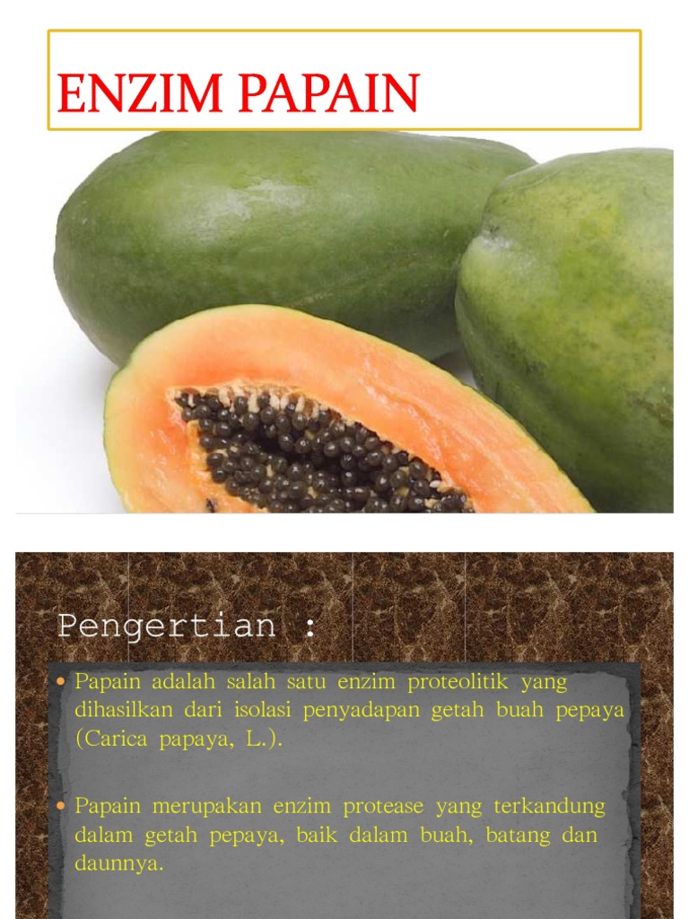 Enzim Papain | PDF