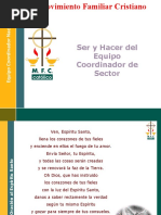 Folleto para Evaluar Equiperos MFC | PDF