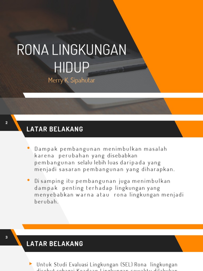 Studi Rona Lingkungan Amdal | PDF