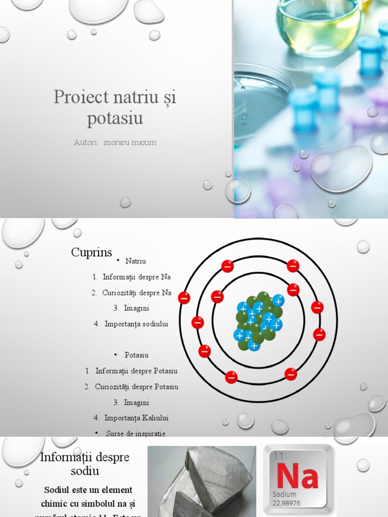 Proiect Natriu Și Potasiu | PDF