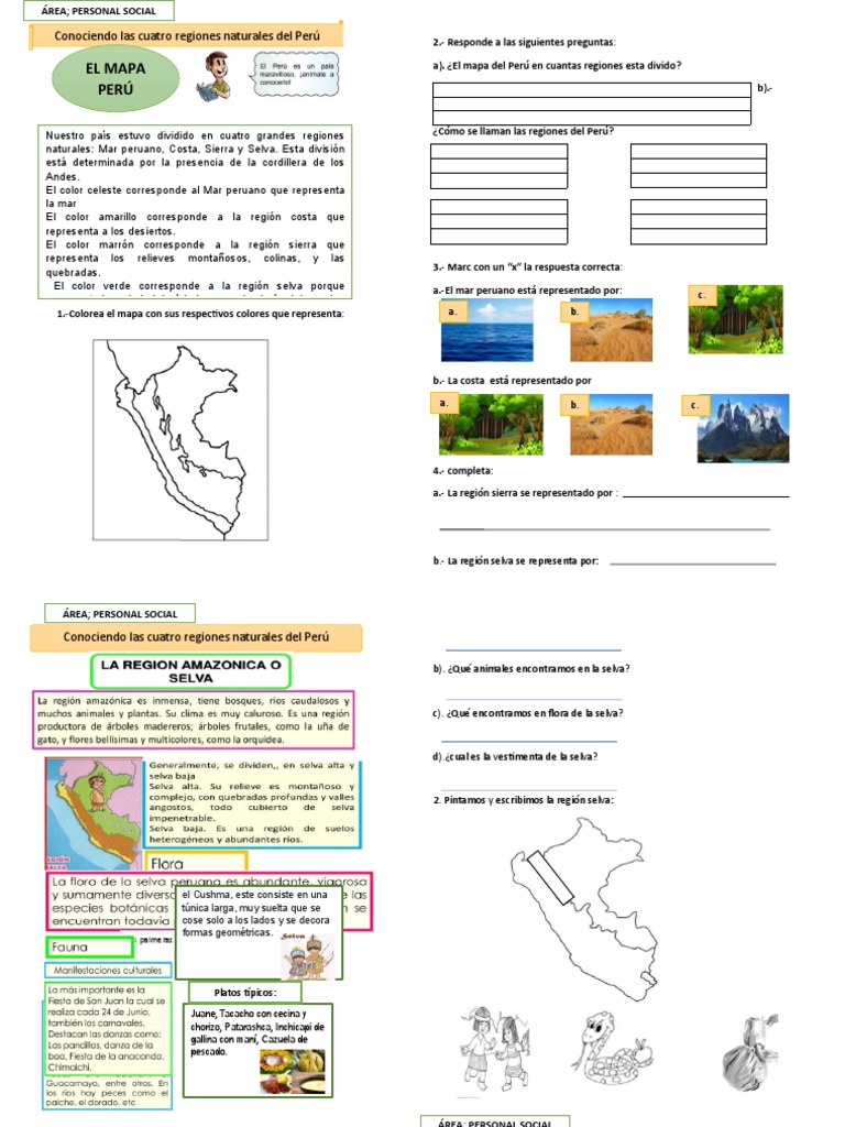 Actividad | PDF | Perú