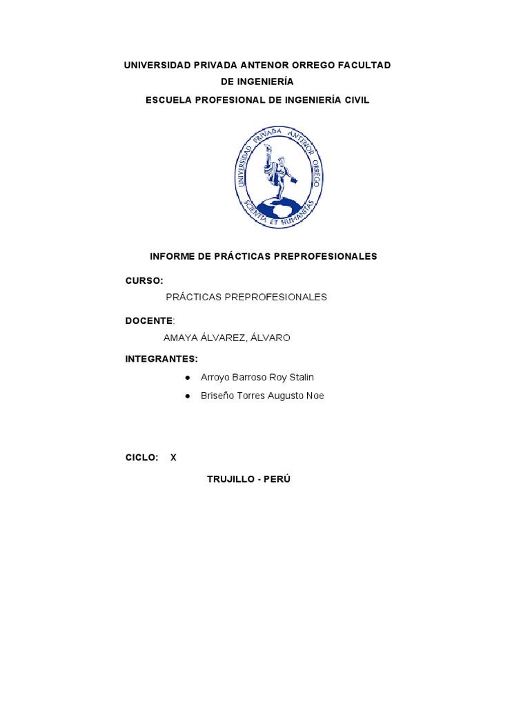 Informe Prac. Pre Profecionales | PDF | Hormigón | Sectores Economicos