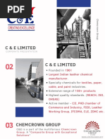 Royal Enigma: Maharani Usha Raje | PDF