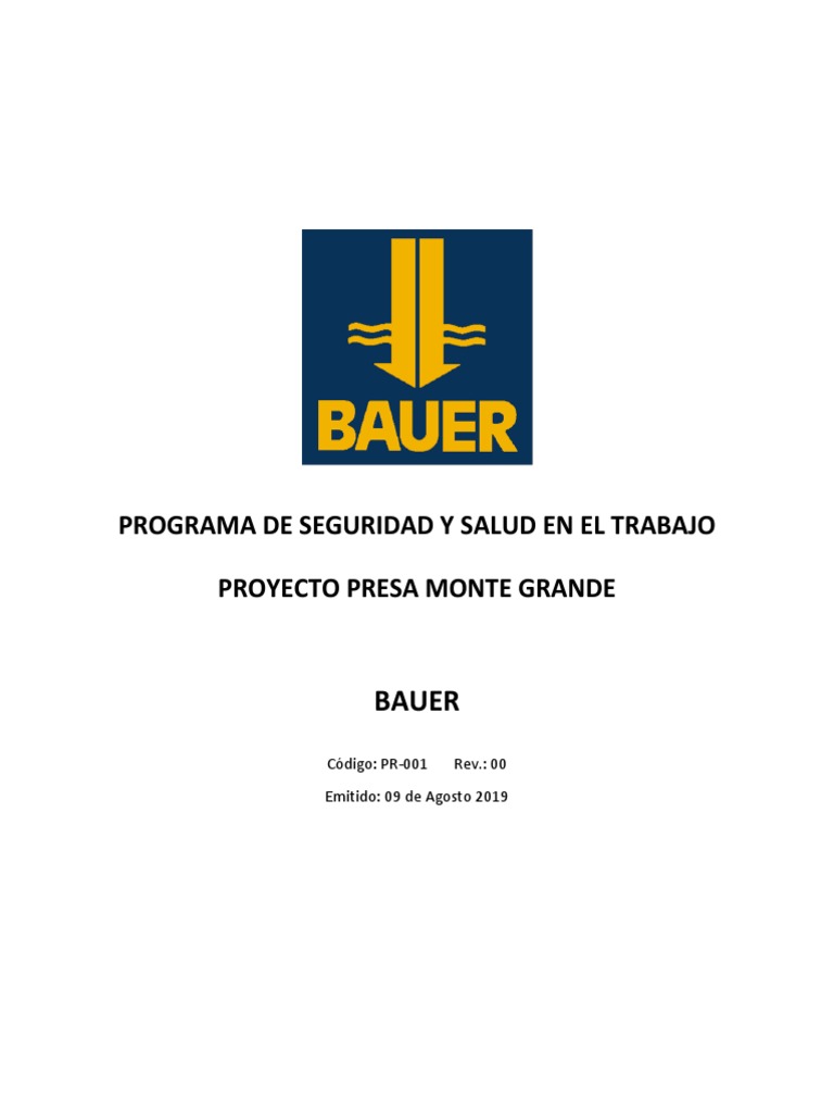PR-001 Manual de Seguridad y Salud en El Trabajo Rev 00 | PDF | Las ...