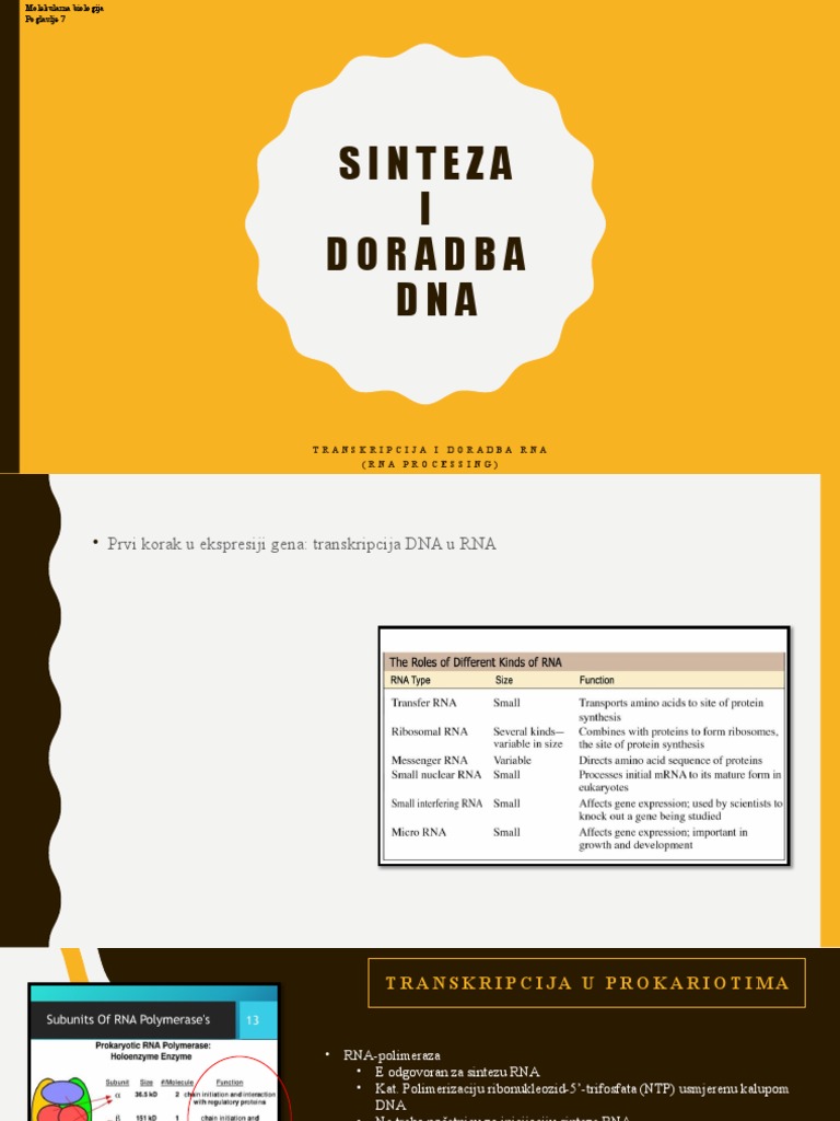 Sinteza I Doradba DNA | PDF
