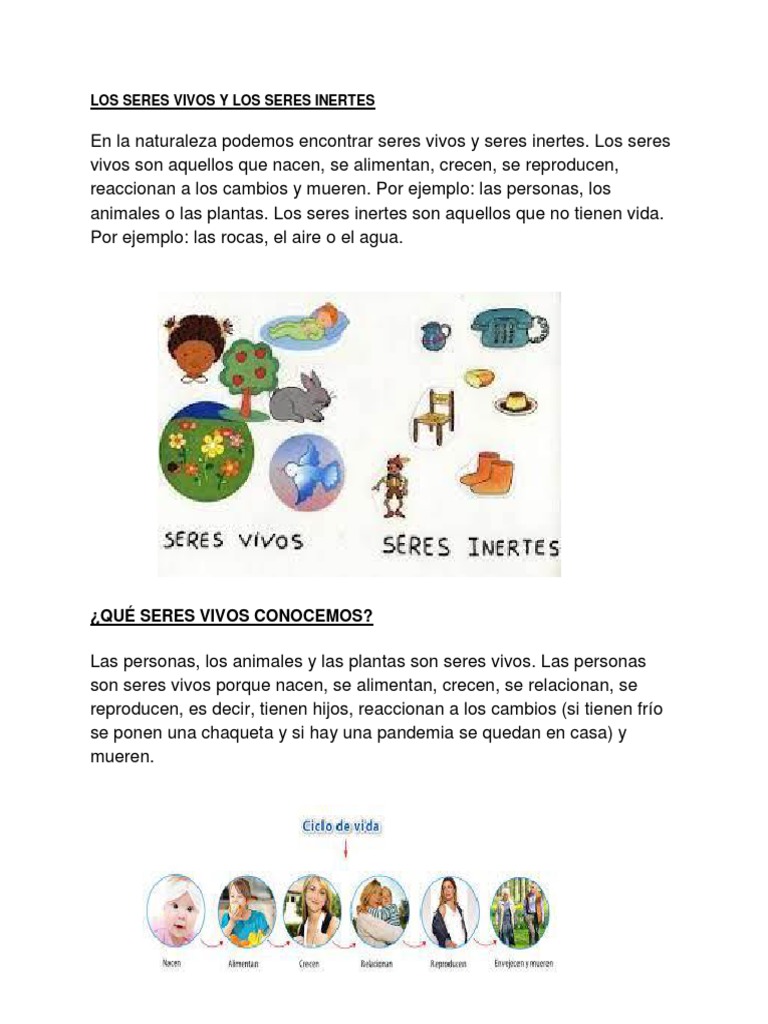 Los Seres Vivos y Los Seres Inertes | PDF