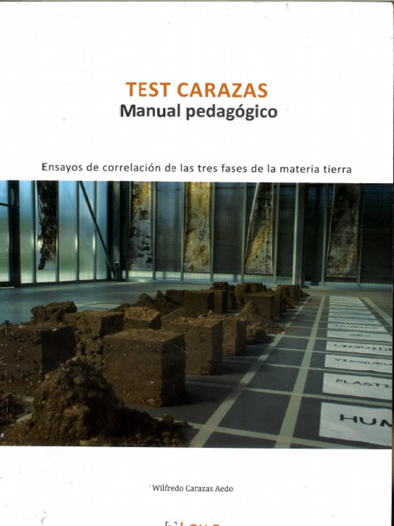Test Carazas | PDF