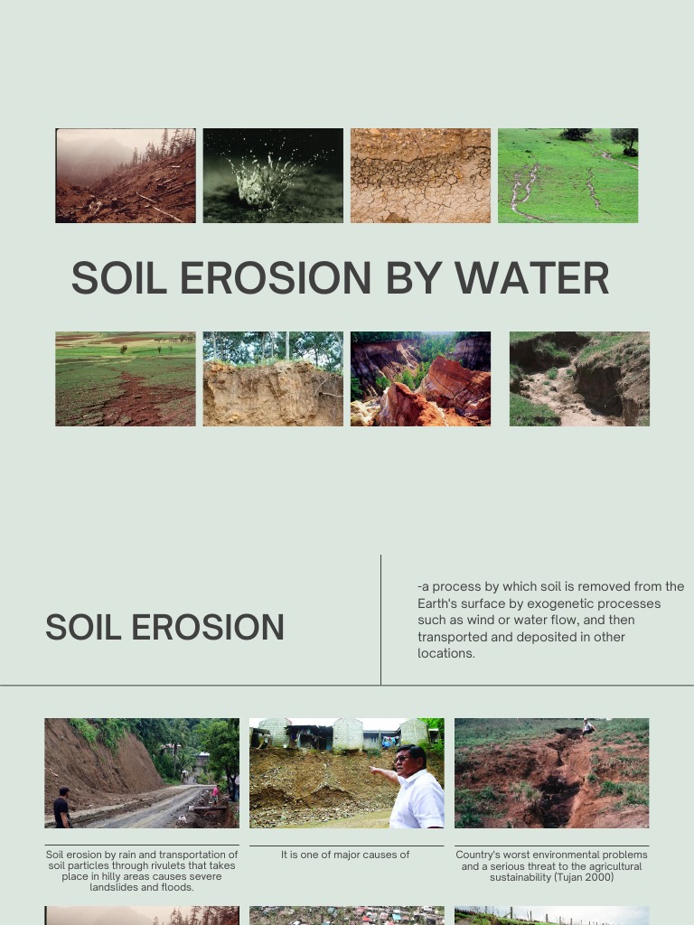 Soil Erosion: Impact on Agriculture | PDF | Erosion | Surface Runoff