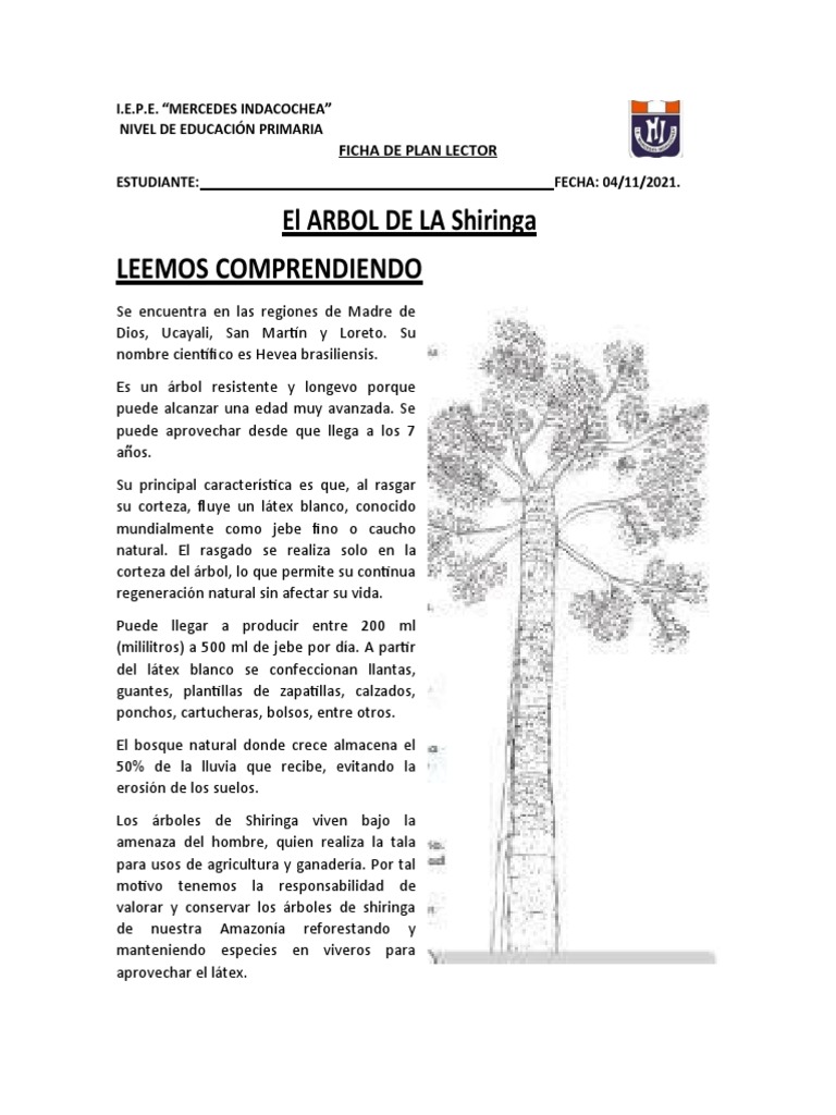 El Arbol de La Shiringa | PDF
