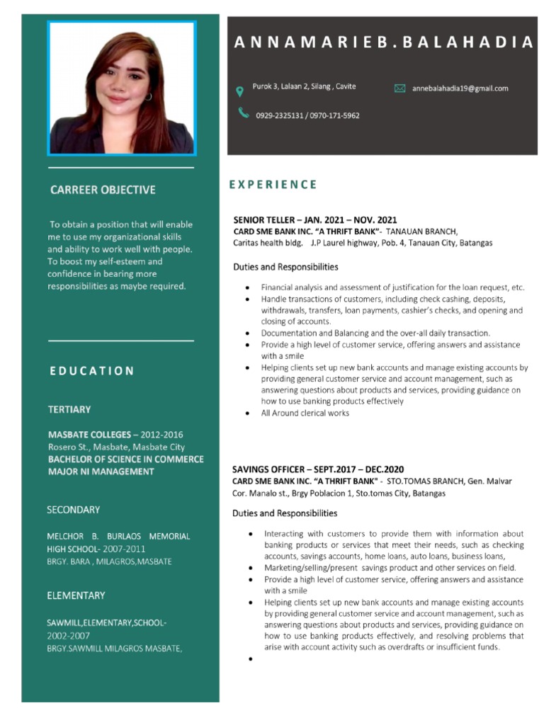 SKYLER Resume Template | PDF