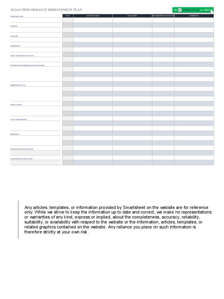 IC 30 Day Performance Improvement Plan Template 9258 | PDF